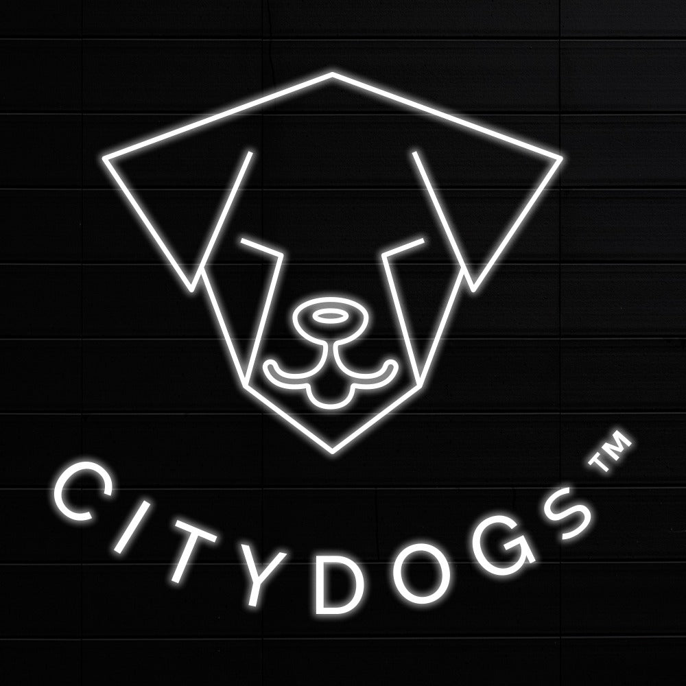 City Dogs – Neon Signs Lights