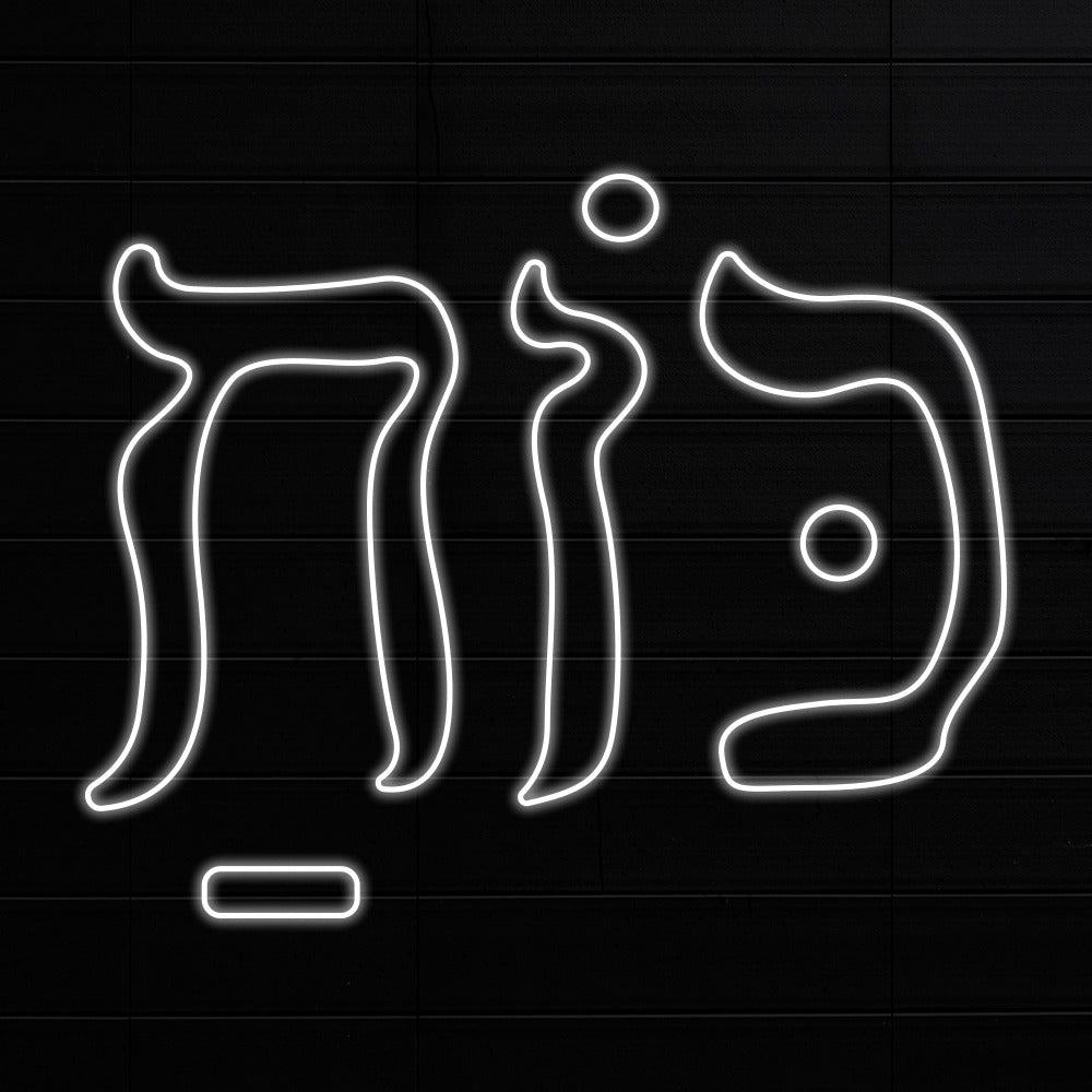 Faye – Neon Signs Lights