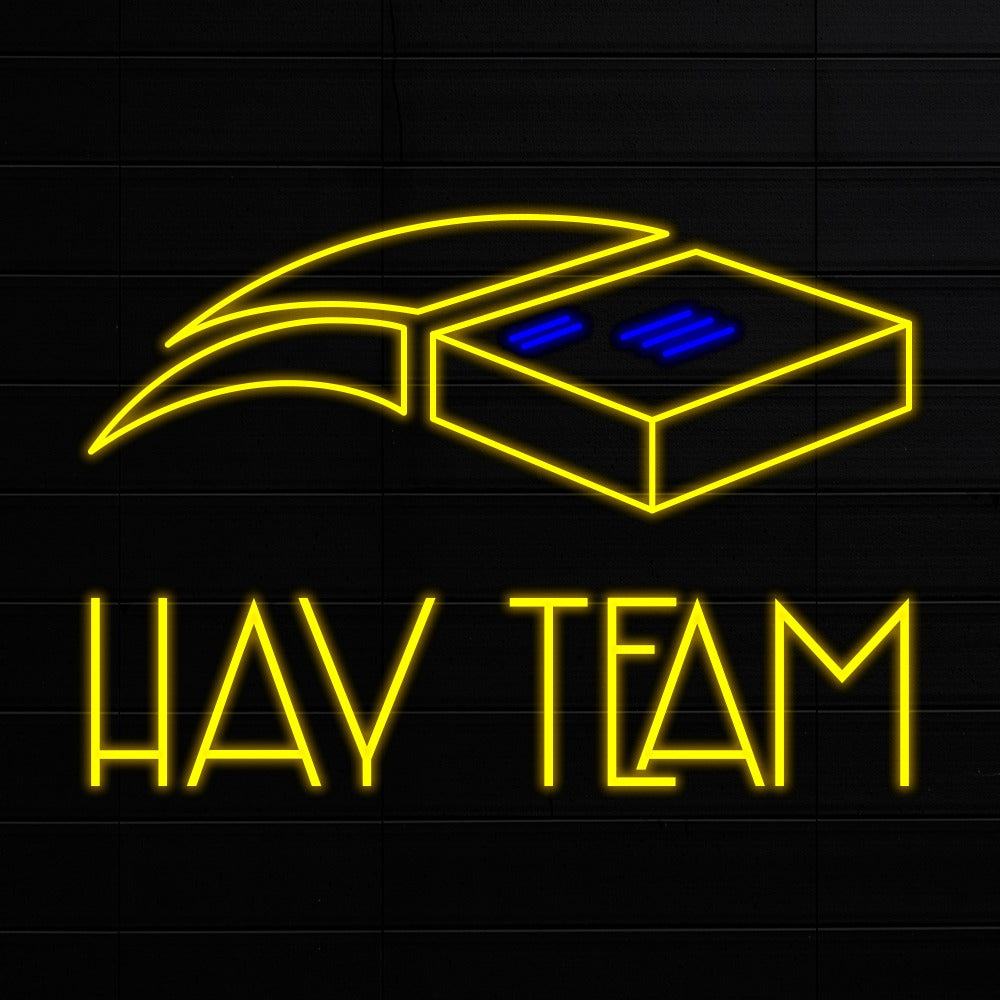 Hay Team – Neon Signs Lights