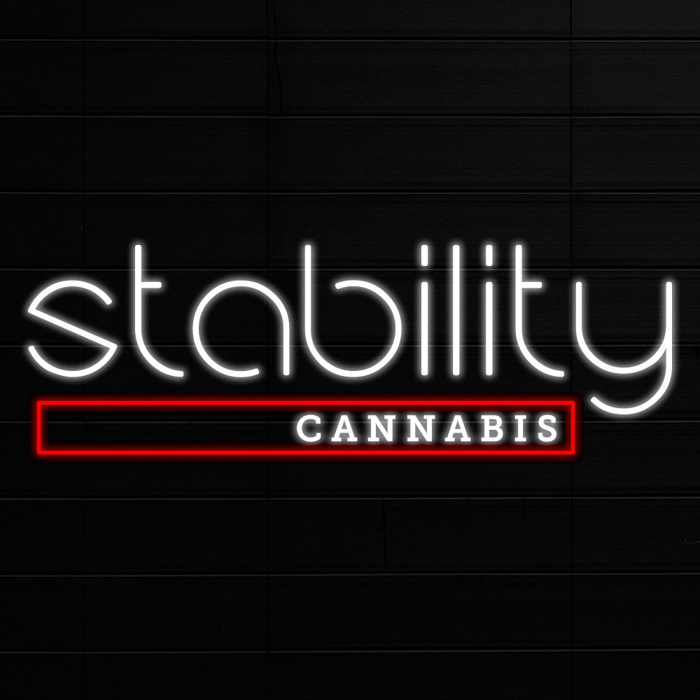 Stability – Neon Signs Lights