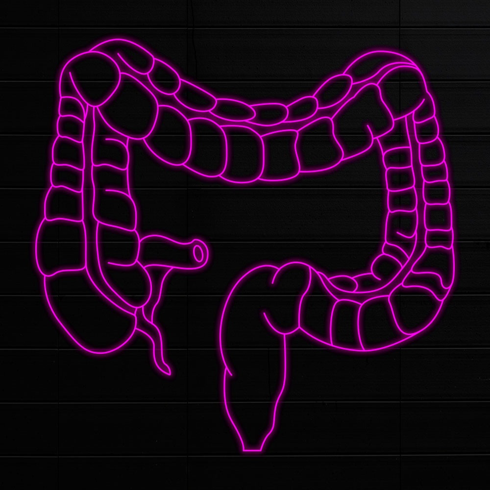 Suzanne – Neon Signs Lights